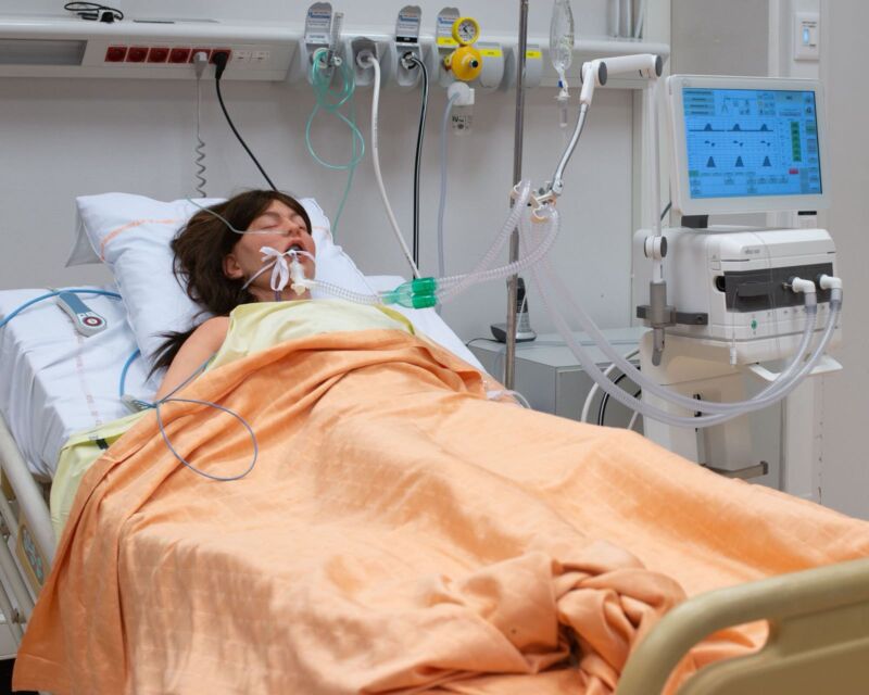 Lifecast Body Simulation Adult Manikins - Echo Healthcare