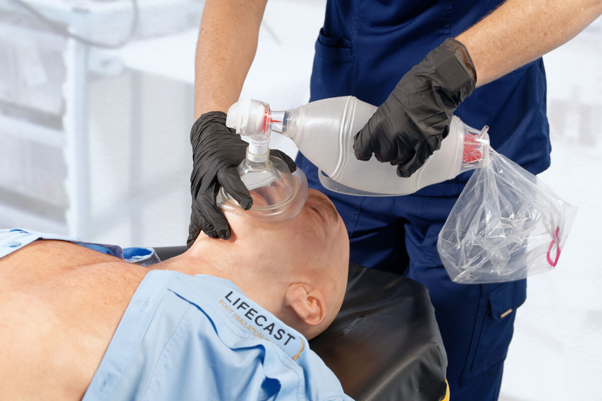 Lifecast Body Simulation Adult Manikins - Echo Healthcare