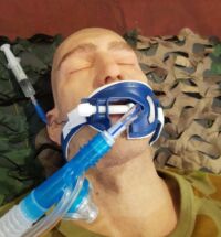 Lifecast Body Simulation Adult Manikins - Echo Healthcare