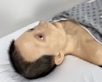 Lifecast Body Simulation Adult Manikins - Echo Healthcare