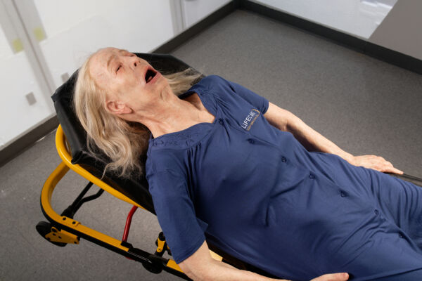 Lifecast Body Simulation Senior Manikins - Echo Healthcare