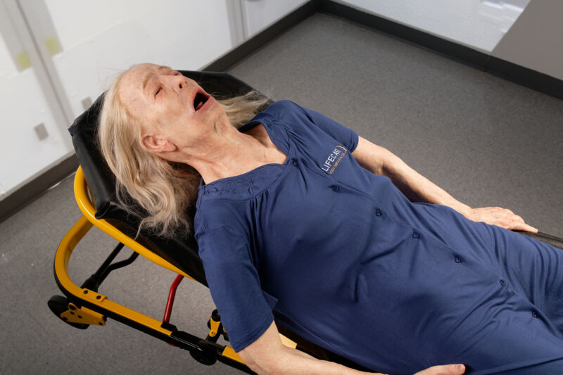 Lifecast Body Simulation Senior Manikins - Echo Healthcare