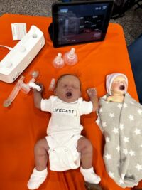 Lifecast Body Simulation Baby Manikins - Echo Healthcare