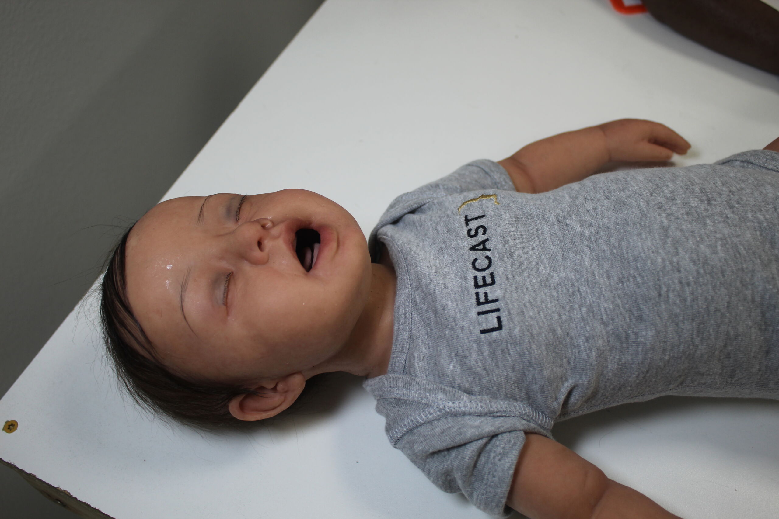 Lifecast Body Simulation Infants- Echo Healthcare