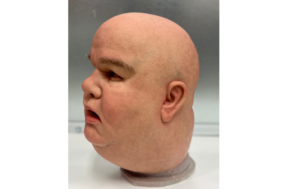 EchoMasks - Echo Healthcare