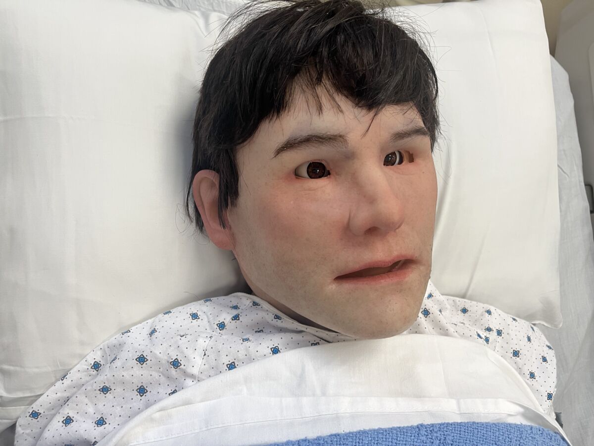 EchoMasks - Echo Healthcare