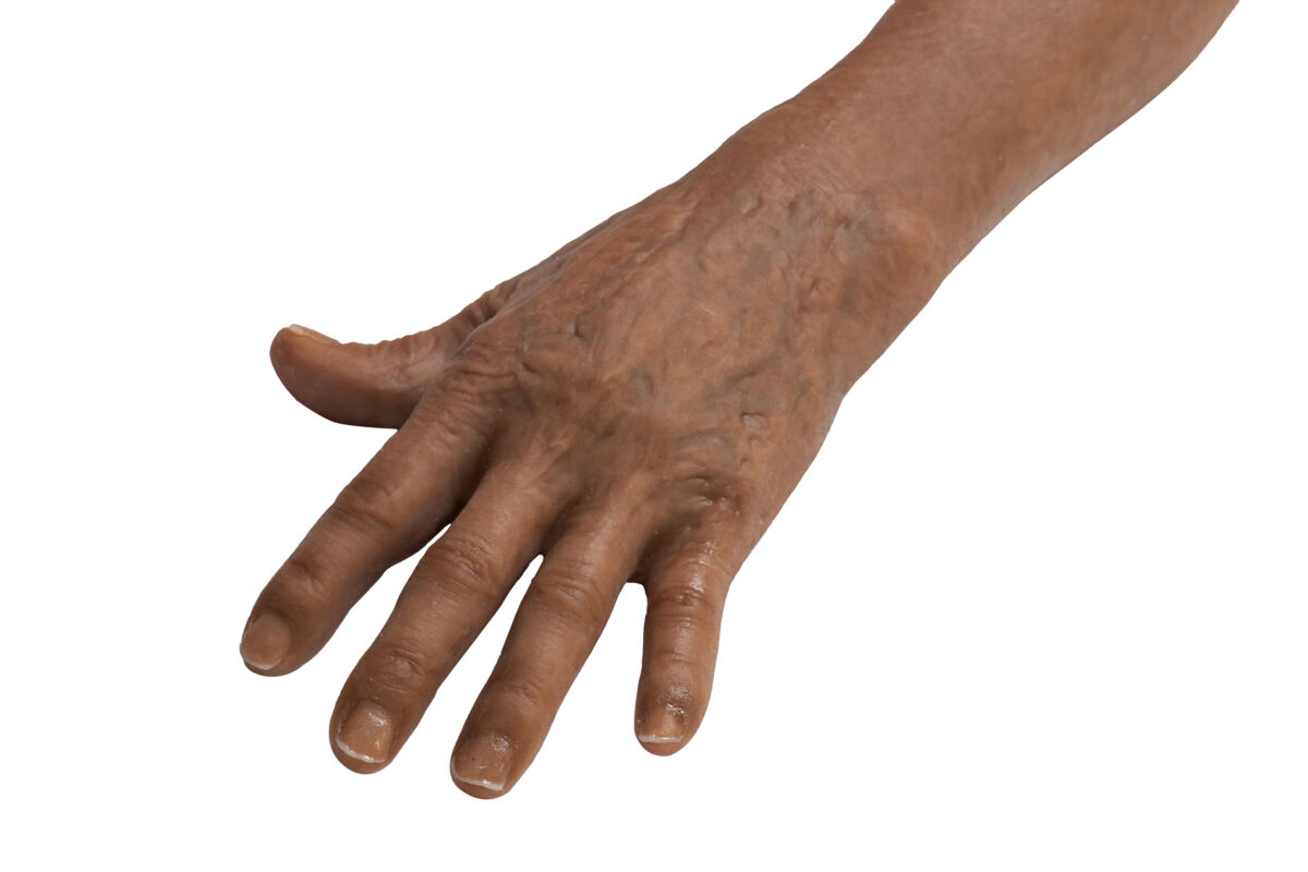 Lifecast Senior Manikins – Echo Healthcare