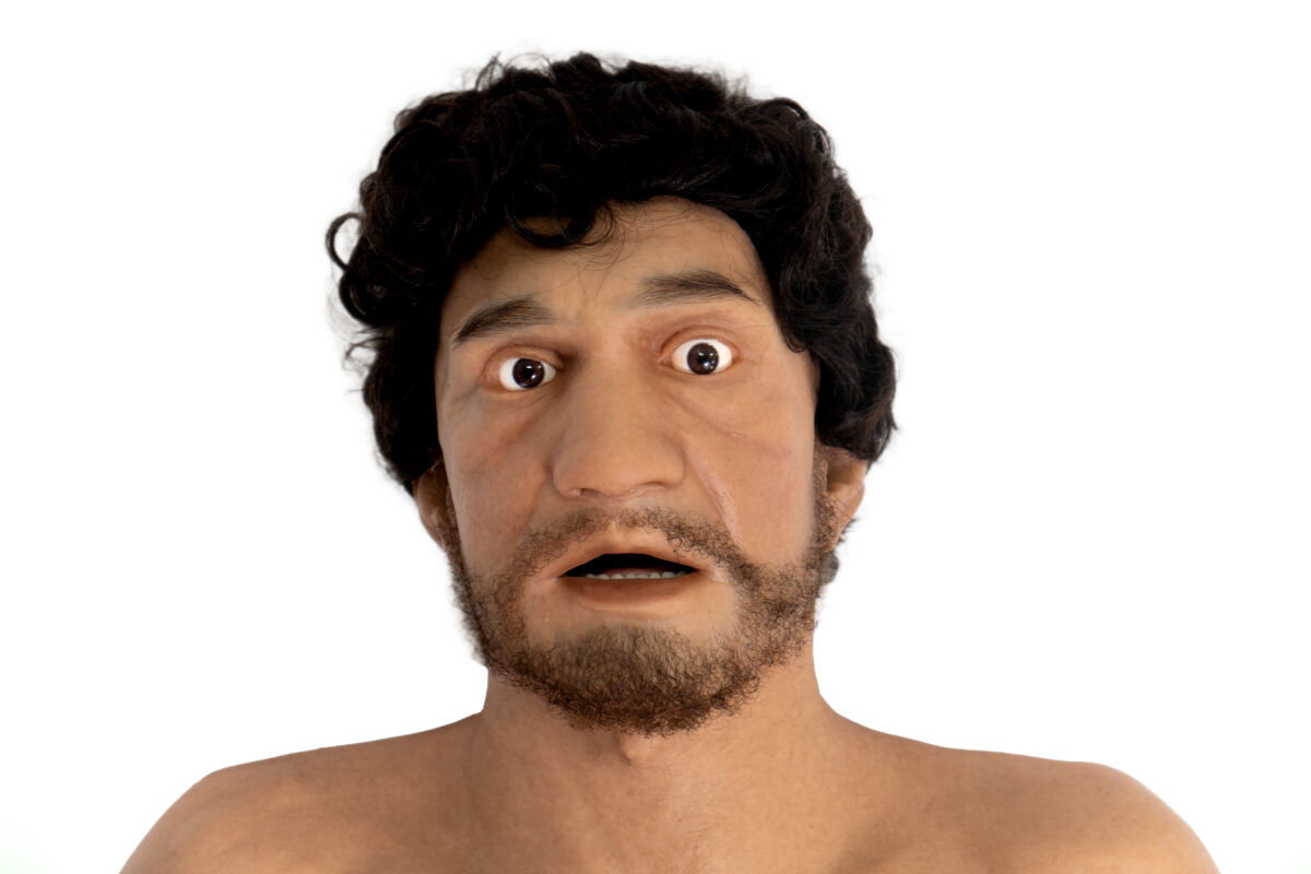 Lifecast Body Simulation Adult Manikins - Echo Healthcare