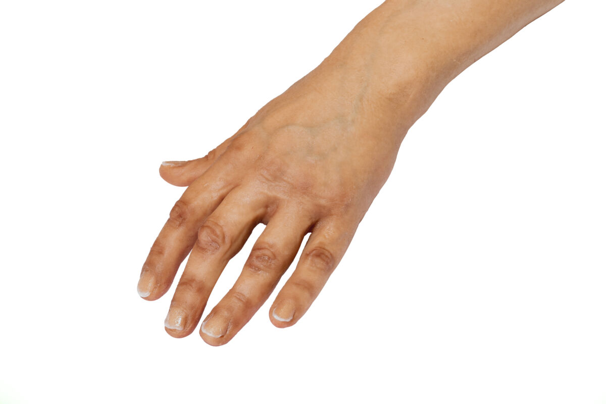 Lifecast Body Simulation Adult Manikins - Echo Healthcare