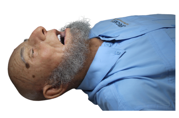 Lifecast Body Simulation Senior Manikins - Echo Healthcare