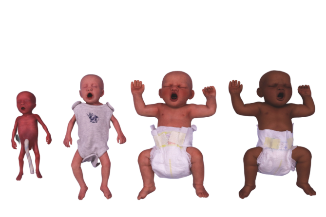 Lifecast Body Simulation Baby Manikins - Echo Healthcare