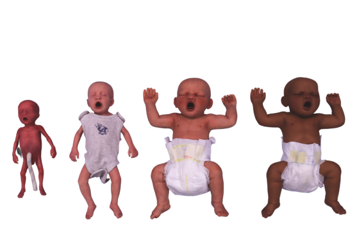 Lifecast Newborn Manikins – Echo Healthcare