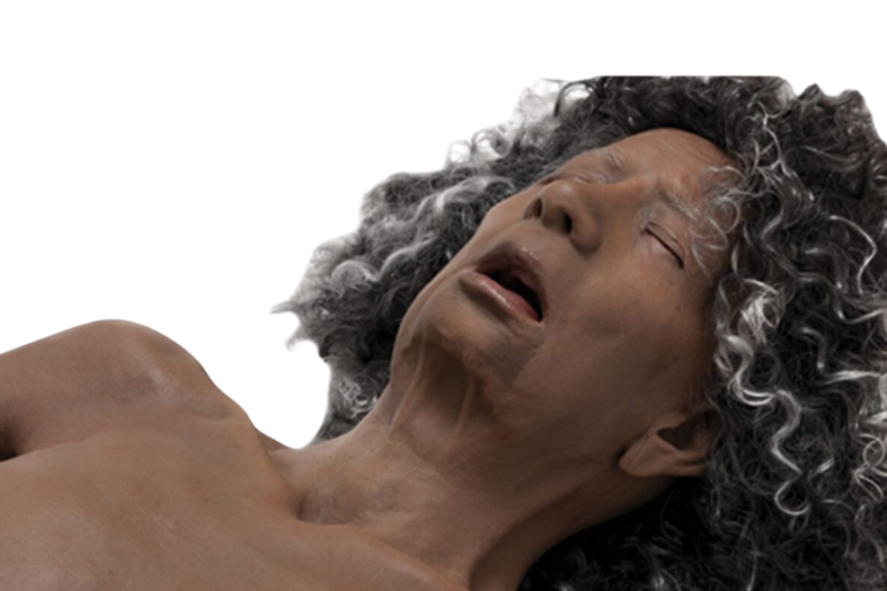 Echo Healthcare offers Lifecast Body Simulation manikins