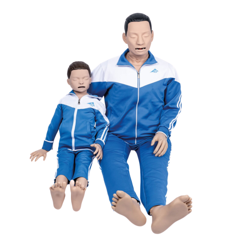 3B Scientific Products - Echo Healthcare