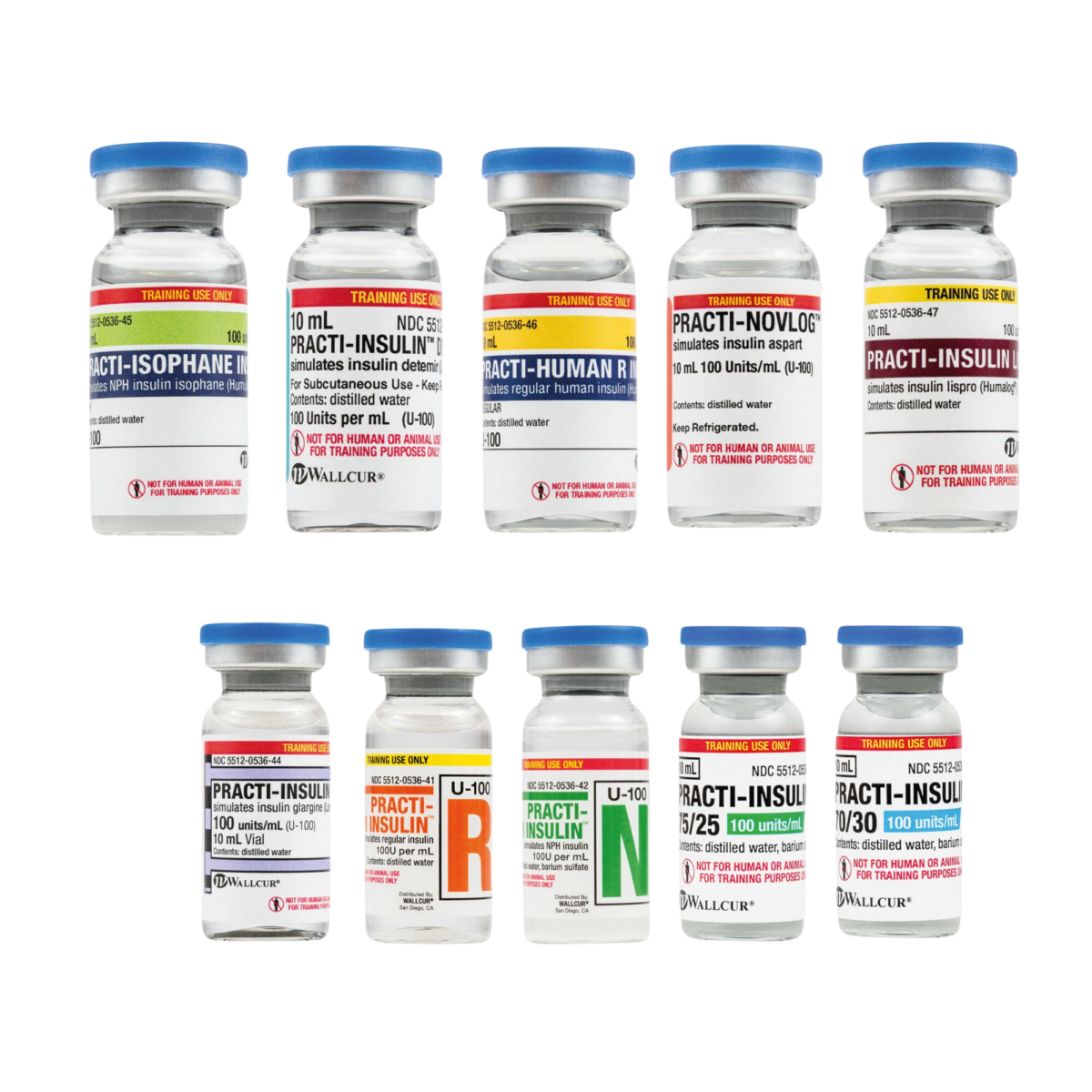 3B Scientific Products - Echo Healthcare