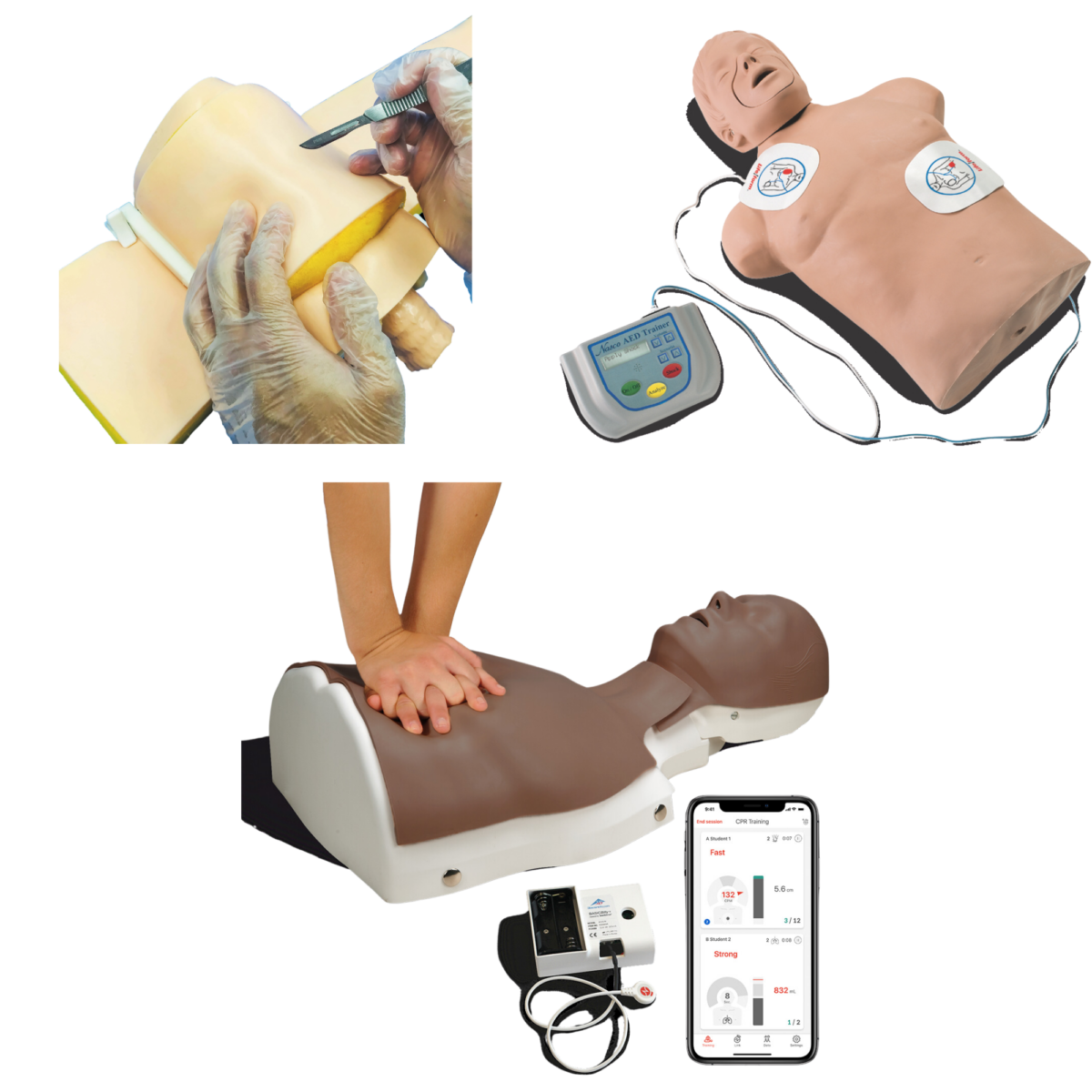 3B Scientific Products - Echo Healthcare